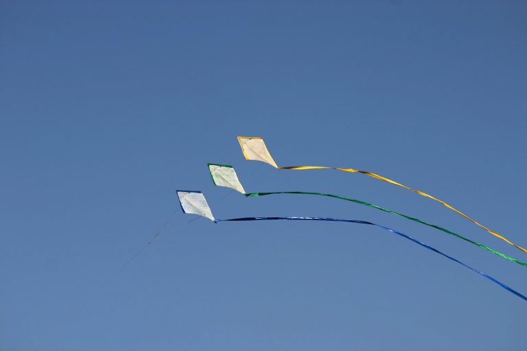 6 Best Kites for Beginners to Get Started | Recreation Insider
