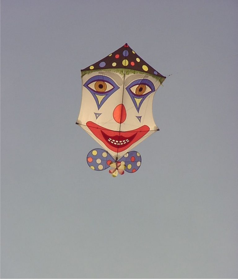 The 8 Types of Kites and How to Fly Them | Recreation Insider