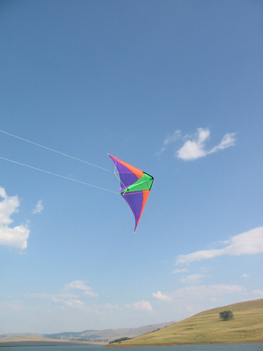 The 8 Types of Kites and How to Fly Them | Recreation Insider