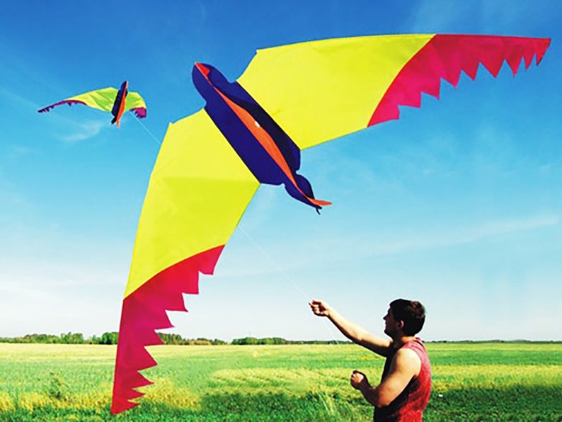 7 Best Kites for Adults of all Skill Levels | Recreation Insider